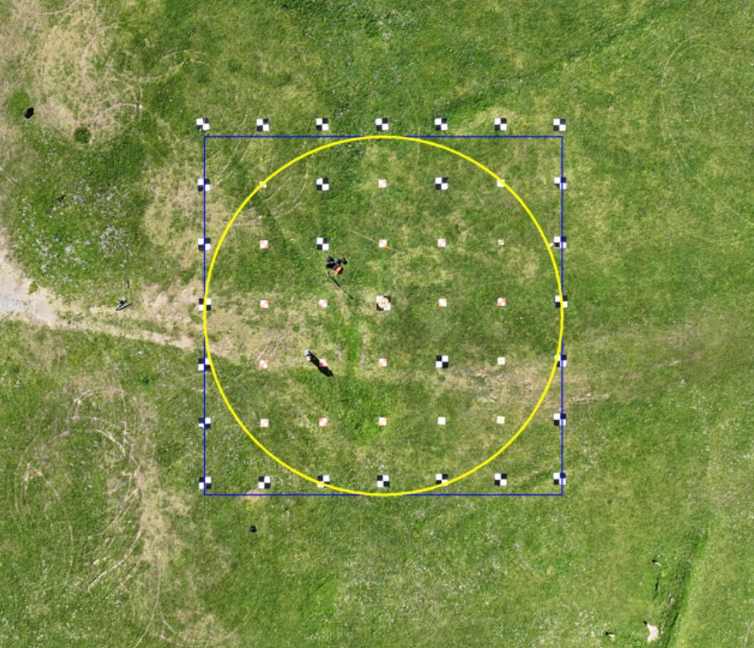 Tutorial VirtualPlot - TreeTools
