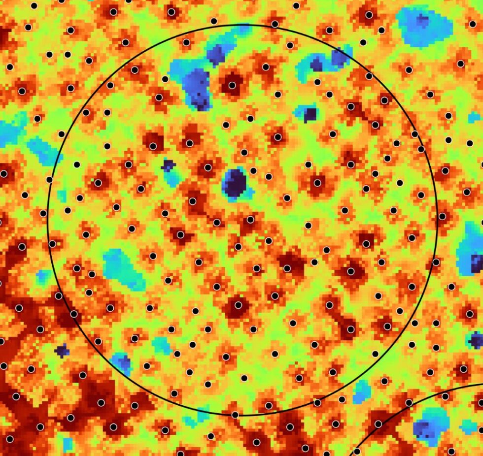 Tutorial VirtualPlot - TreeTools
